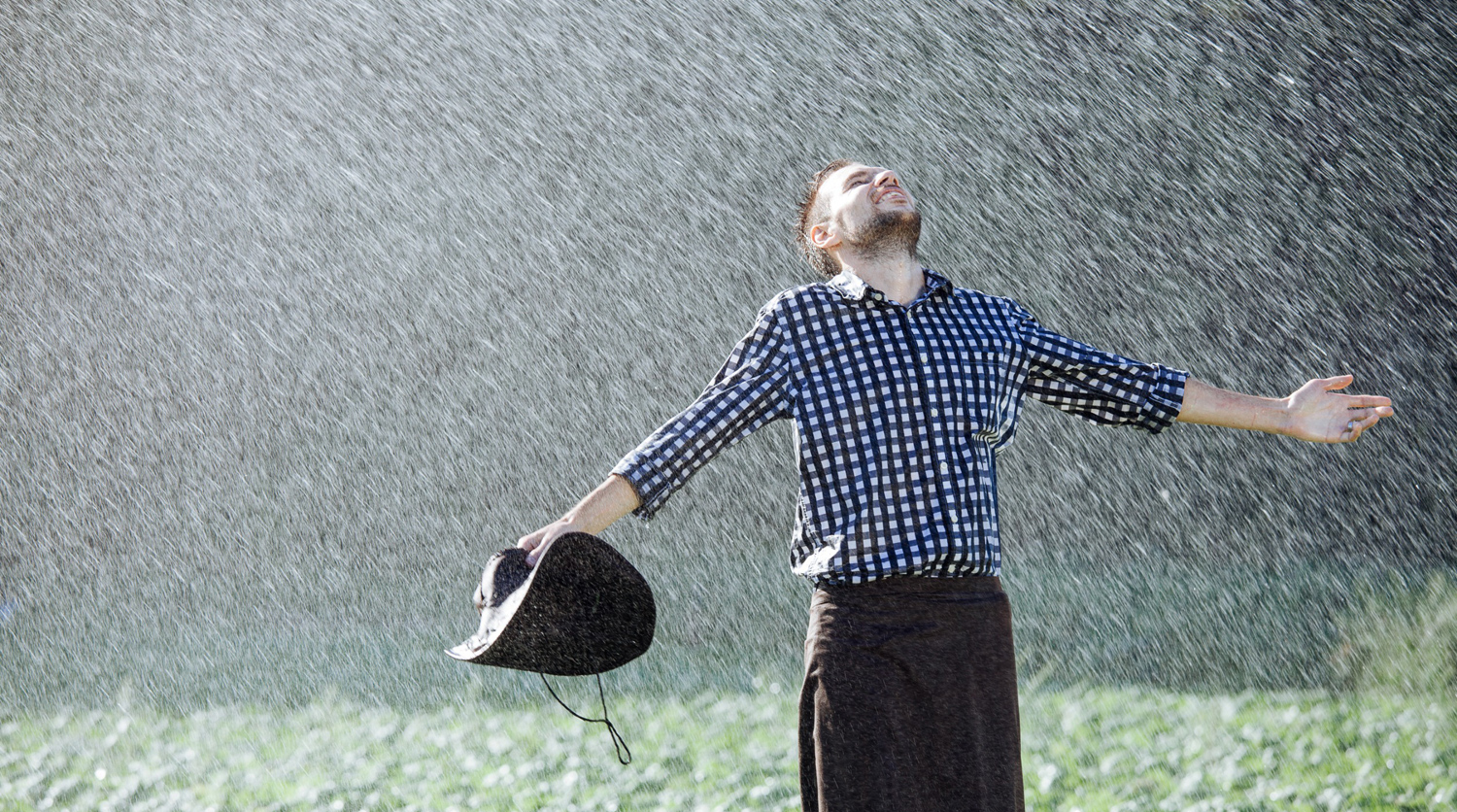 Het regent SABE subsidies voor al je duurzame doelen - Boervindt.nl